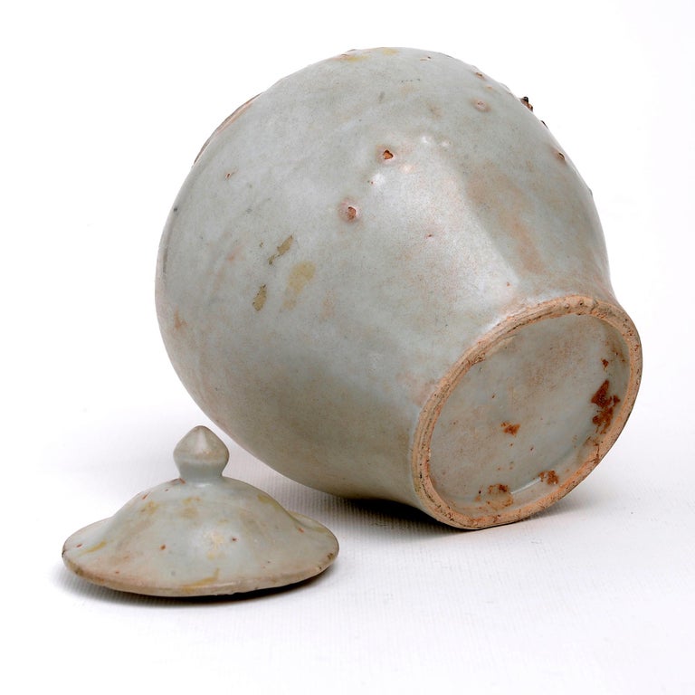 Antique Porcelain Chinese Jar with Lid For Sale at 1stDibs