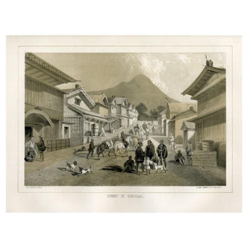 Antique Print of Hakodate from Snow Peak in Japan, 1856 For Sale at 1stDibs