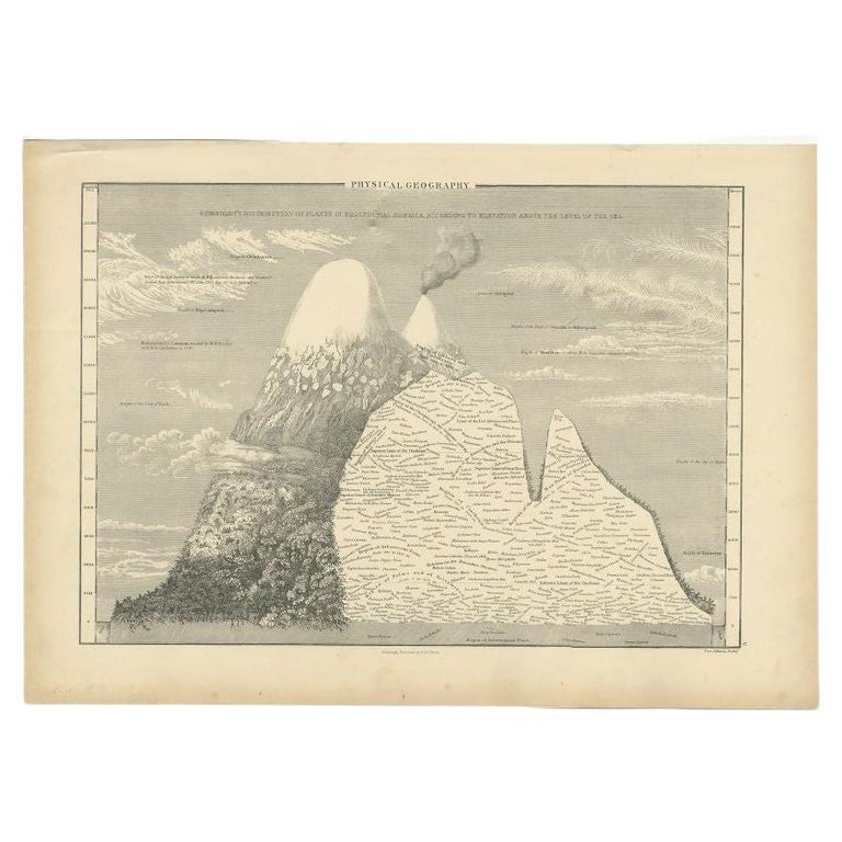 Antique Print of an Elevational Profile Near the Equator, 1854 For Sale ...