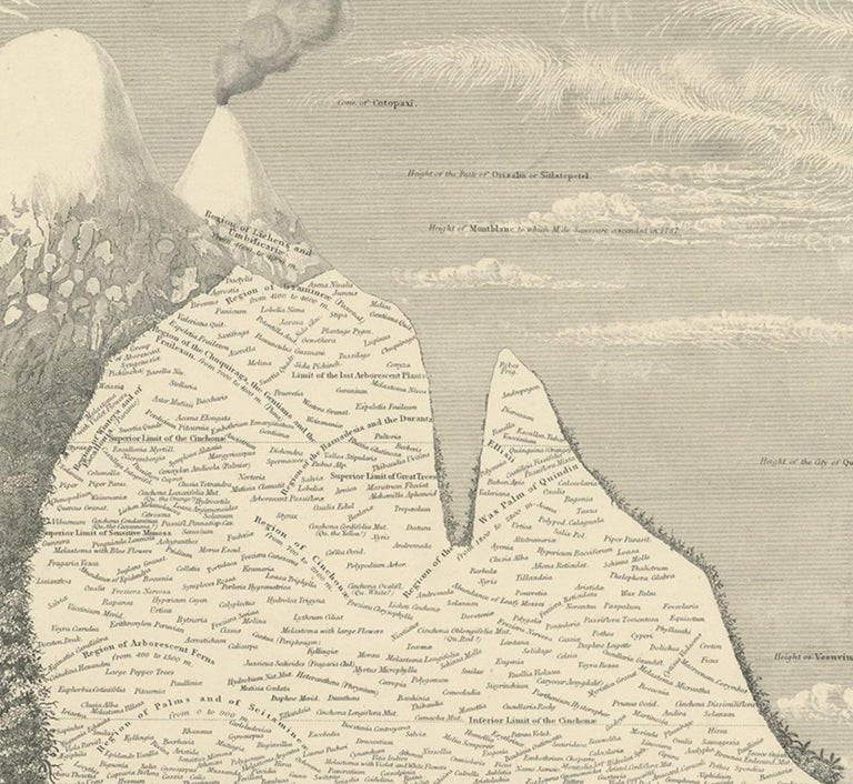 Antique Print of an Elevational Profile Near the Equator, 1854 For Sale ...