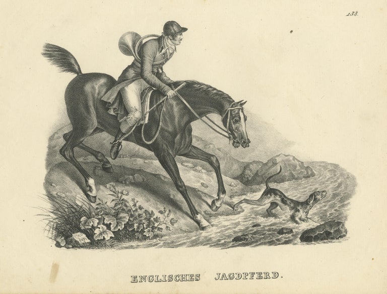 Antique Print of an English Hunting Horse For Sale at 1stDibs