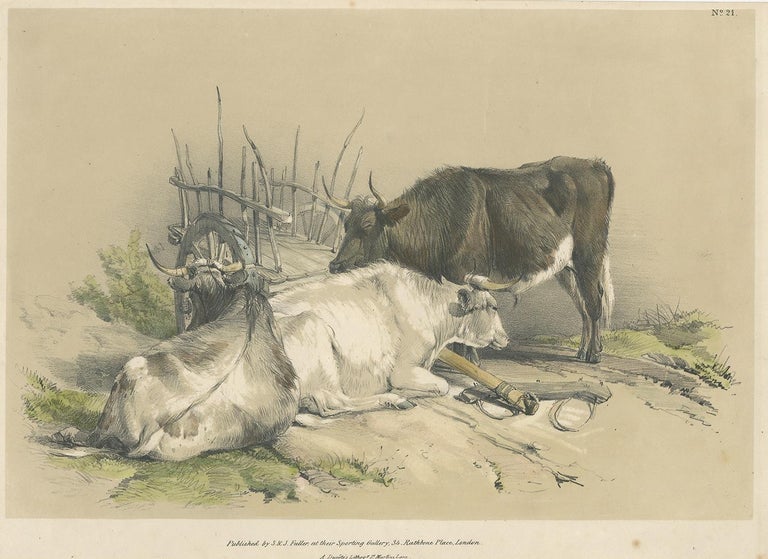 Antique Print of Cattle and a Cart by Ducôte, circa 1840 For Sale at ...