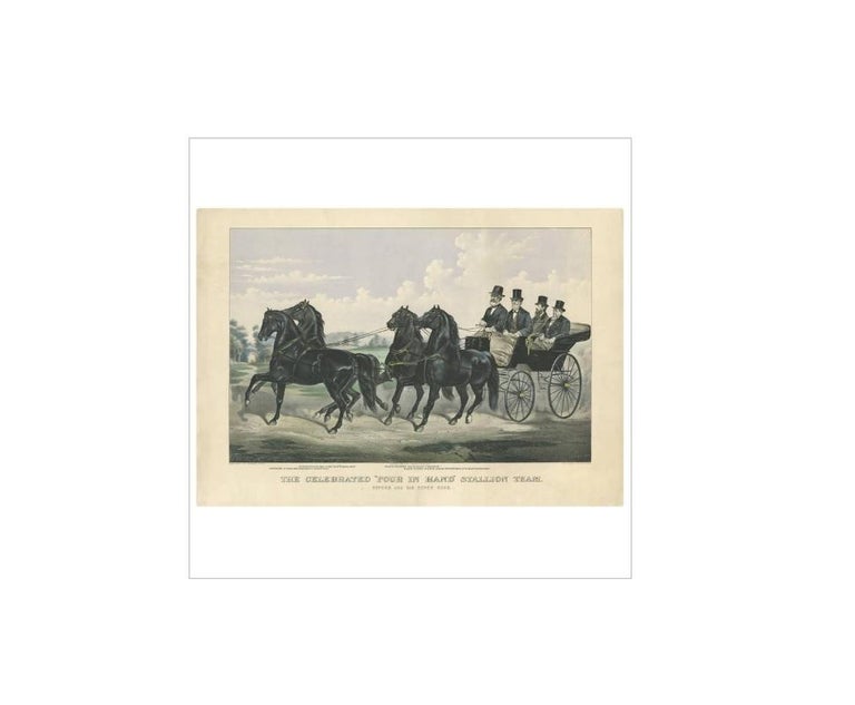 Antique Print of Nature in Hungary by Andrasay, 1857 For Sale at 1stDibs