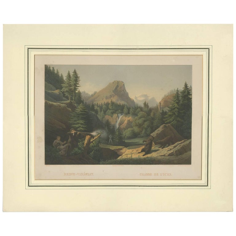Antique Print of Nature in Hungary by Andrasay, 1857 For Sale at 1stDibs