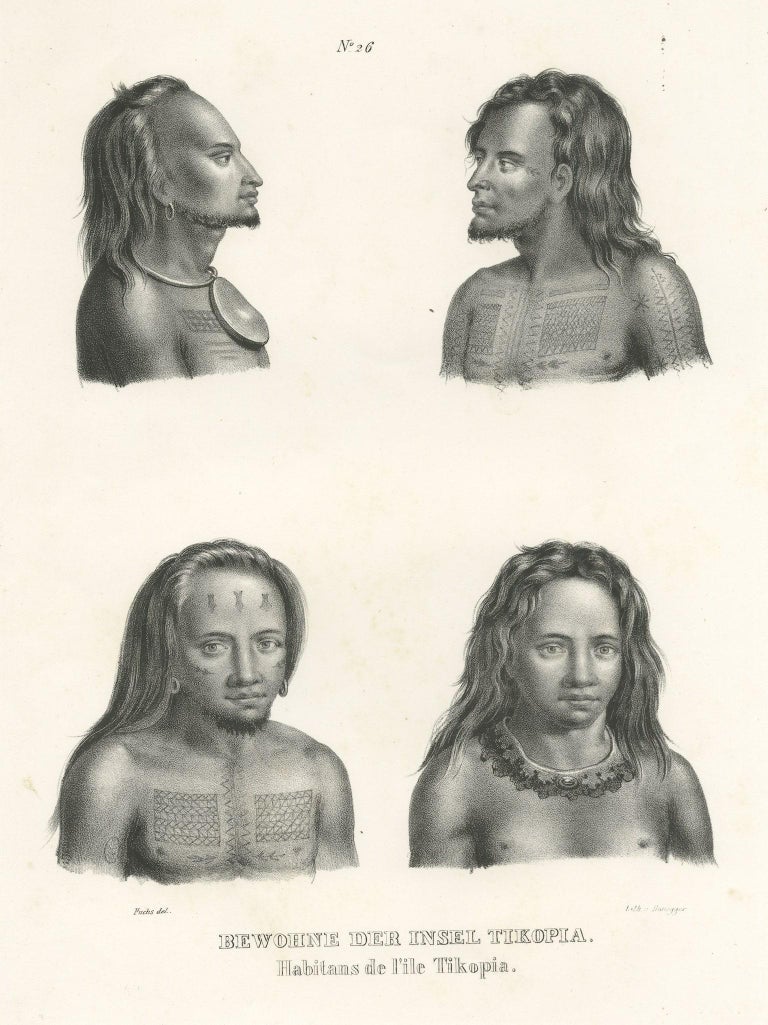 Antique Print of Tattooed Natives of Tikopia, Solomon Islands For Sale at 1stDibs