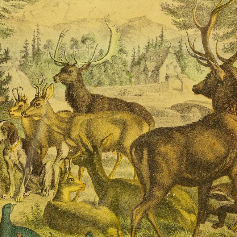 Antique Print "the Hunters Tomp", Germany Late 19th Century For Sale at ...