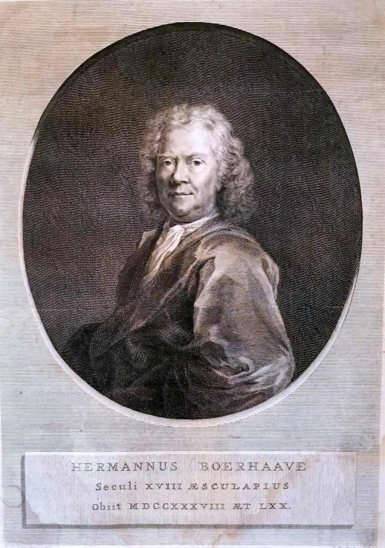 Antique Print with Mirror Frame and Gold Depicting Dutch Doctor For ...