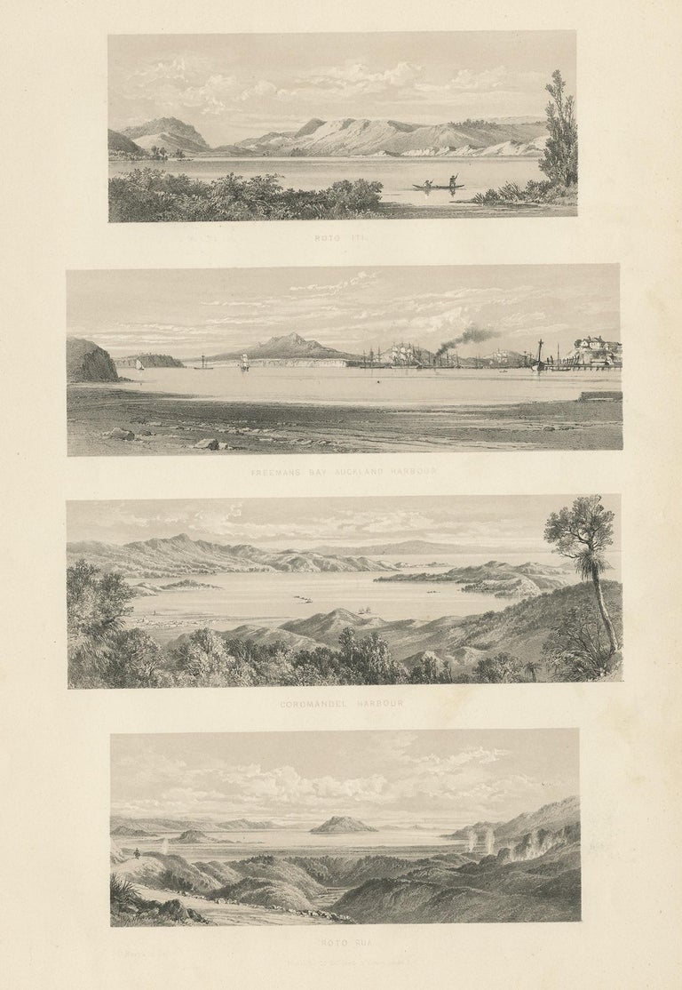 Antique Print with Various Views of New Zealand by Kell, circa 1877 For ...