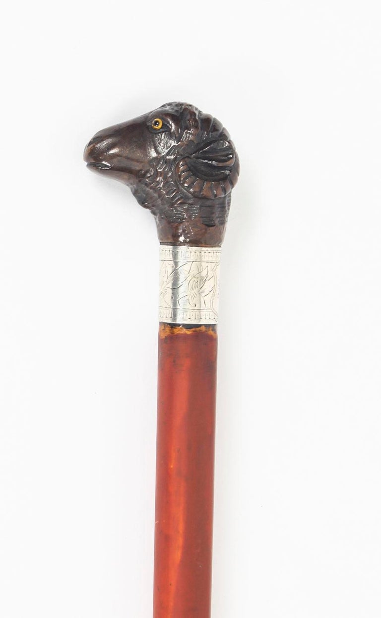 Antique Ram's Head Walking Cane Stick Sterling Silver Collar, 19th ...
