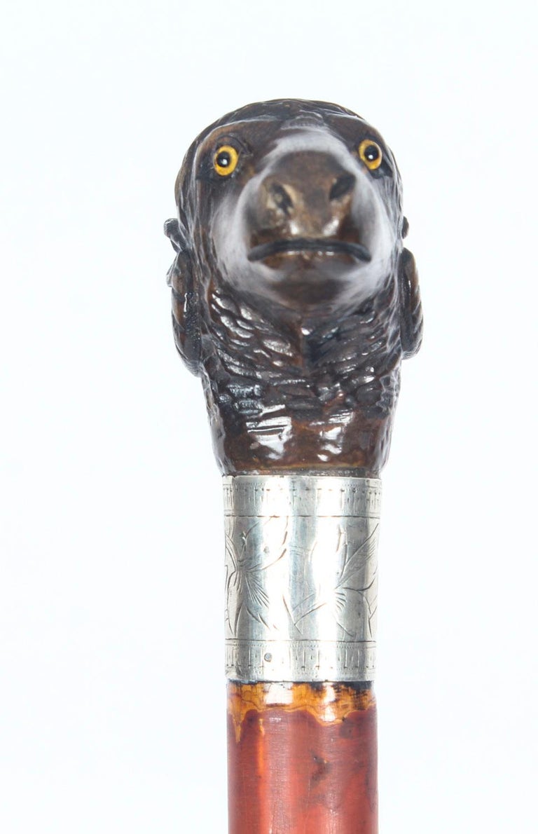 Antique Ram's Head Walking Cane Stick Sterling Silver Collar, 19th ...