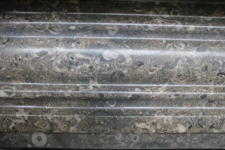 Antique Regency Fossil Marble Fire Surround For Sale at 1stDibs