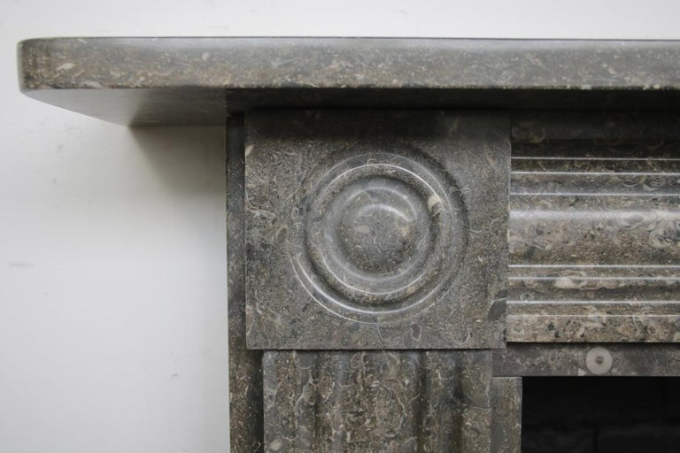 Antique Regency Fossil Marble Fire Surround For Sale at 1stDibs