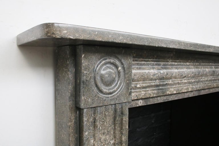 Antique Regency Fossil Marble Fire Surround For Sale at 1stDibs