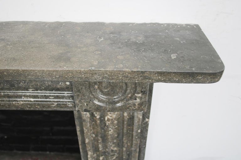 Antique Regency Fossil Marble Fire Surround For Sale at 1stDibs