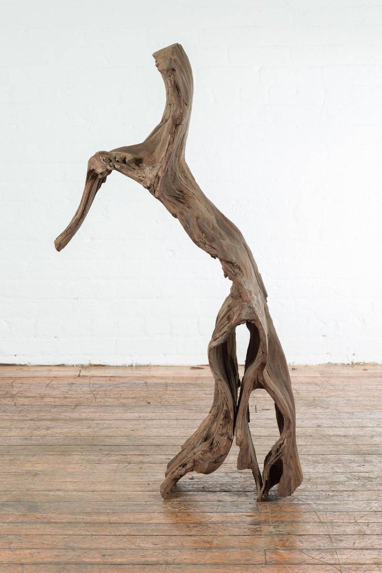 Antique Rustic Indonesian River Wooden Fragment Sculpture or Decorative ...