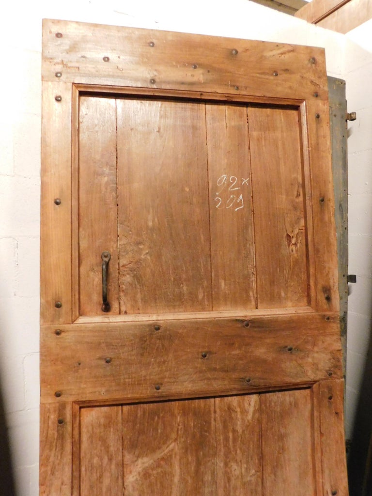 Antique Rustic Poplar Door, 19th Century, Italy For Sale at 1stDibs