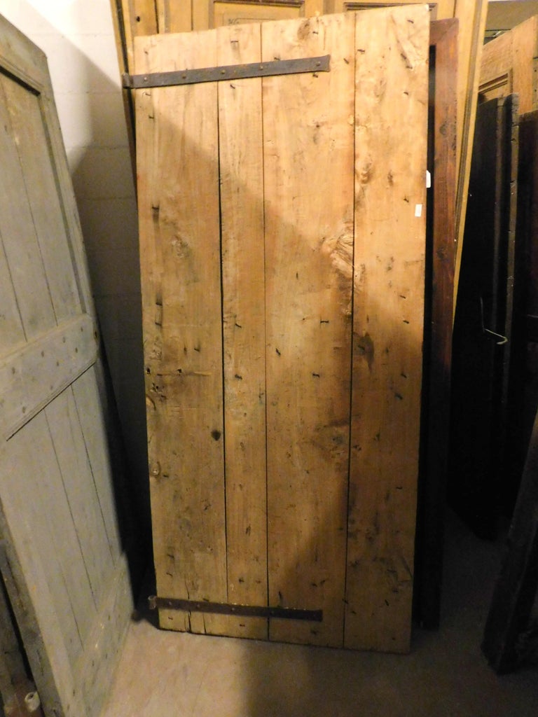 Antique Rustic Poplar Door, 19th Century, Italy For Sale at 1stDibs