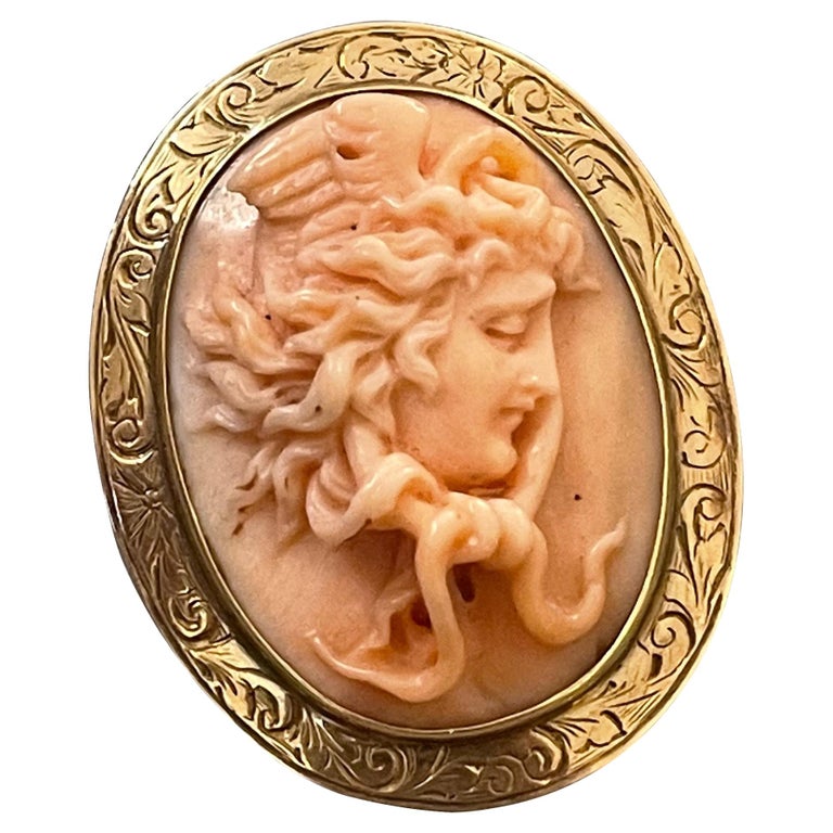 Antique Salmon Coral Gorgon Medusa Cameo 14 Karat Yellow Gold Brooch ...