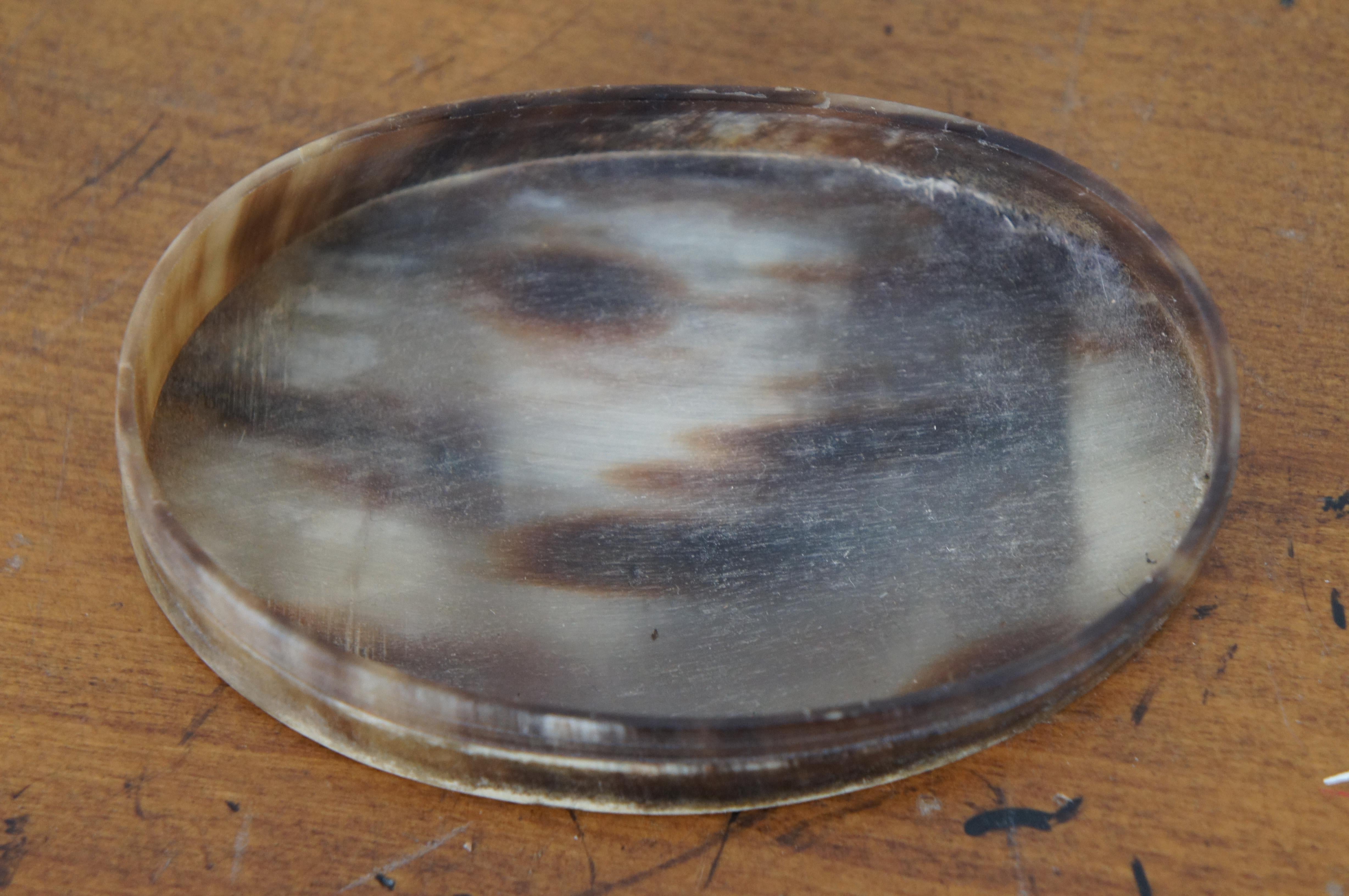 Antique Scottish William Dunningham WD and Co Sterling Horn Snuff Box ...