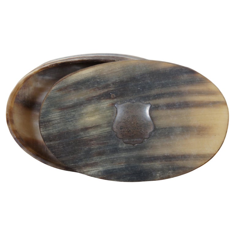 Antique Scottish William Dunningham WD and Co Sterling Horn Snuff Box ...