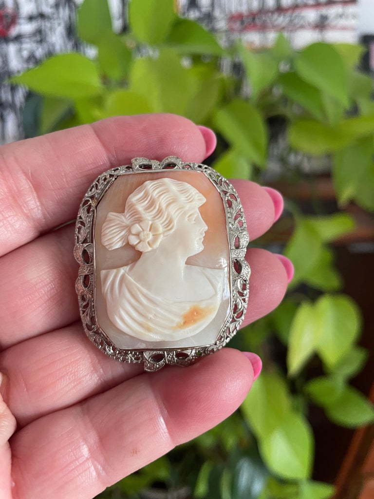 Antique Shell Cameo White Gold Brooch Pendant Bows For Sale at 1stDibs