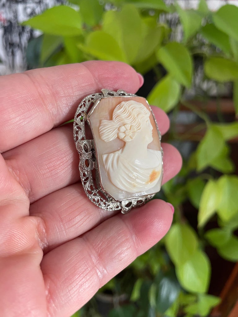 Antique Shell Cameo White Gold Brooch Pendant Bows For Sale at 1stDibs