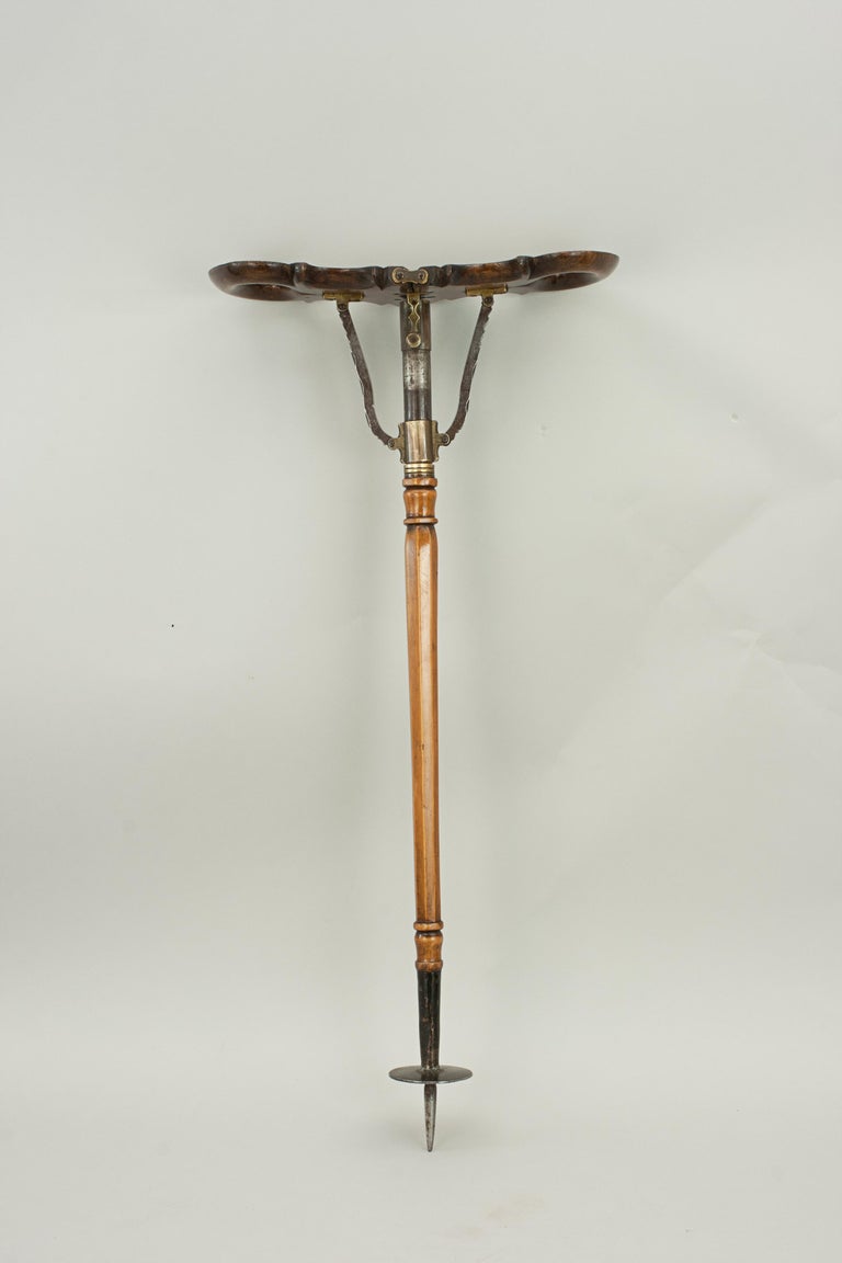 Antique Shooting Stick, Walking Stick, Victorian Fruitwood, 19th ...