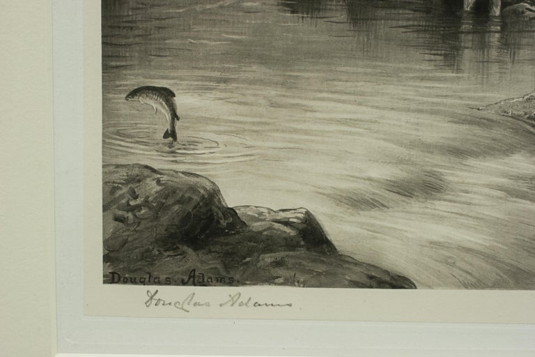 Antique Signed Douglas Adams Salmon Fishing Prints, Set of Three For ...