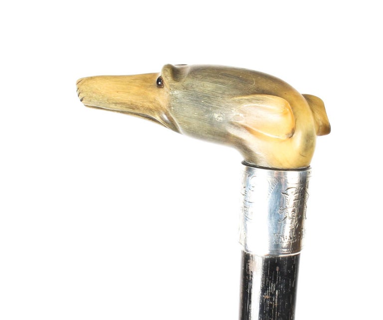 Antique Silver Novelty Greyhound Walking Stick Cane, 1903 at 1stDibs