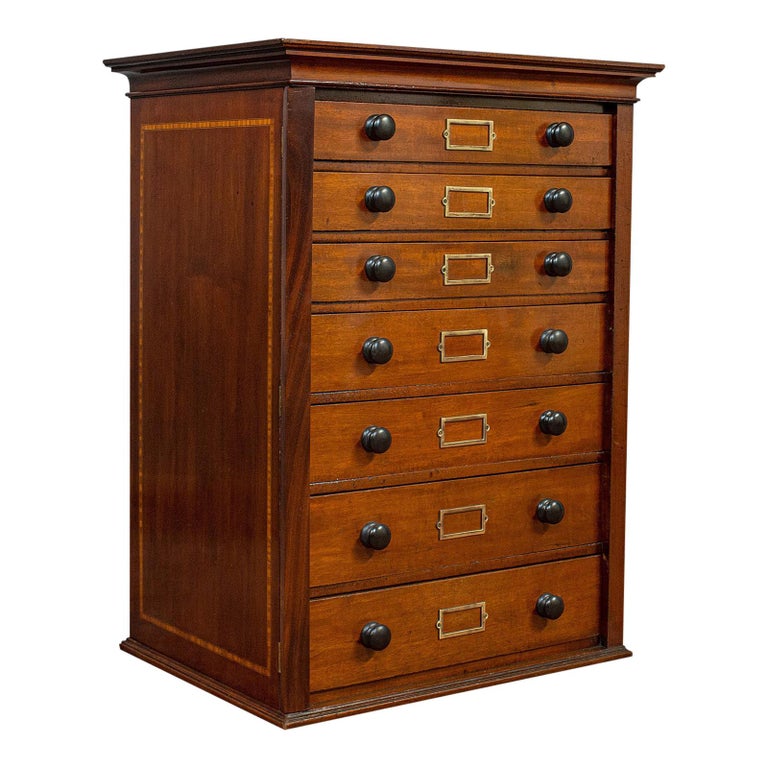 Antique Specimen Cabinet, English, Mahogany, Chest of Drawers, Shop ...