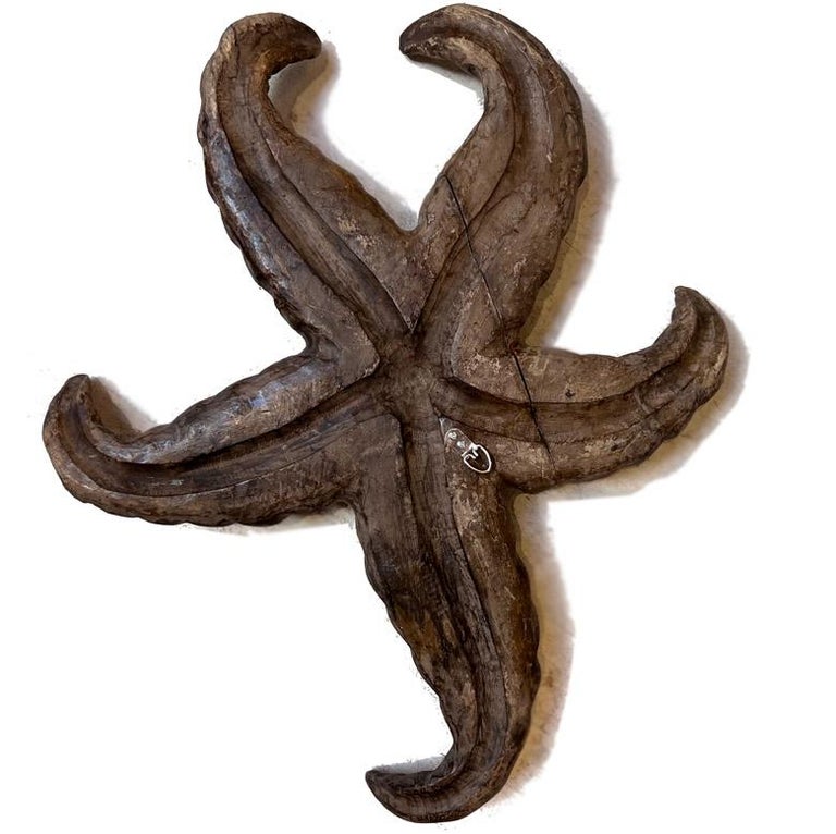 Antique Starfish Carving For Sale at 1stDibs