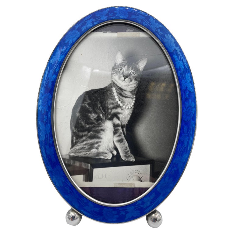 Antique Sterling Silver and Enamel Picture Frame For Sale at 1stDibs