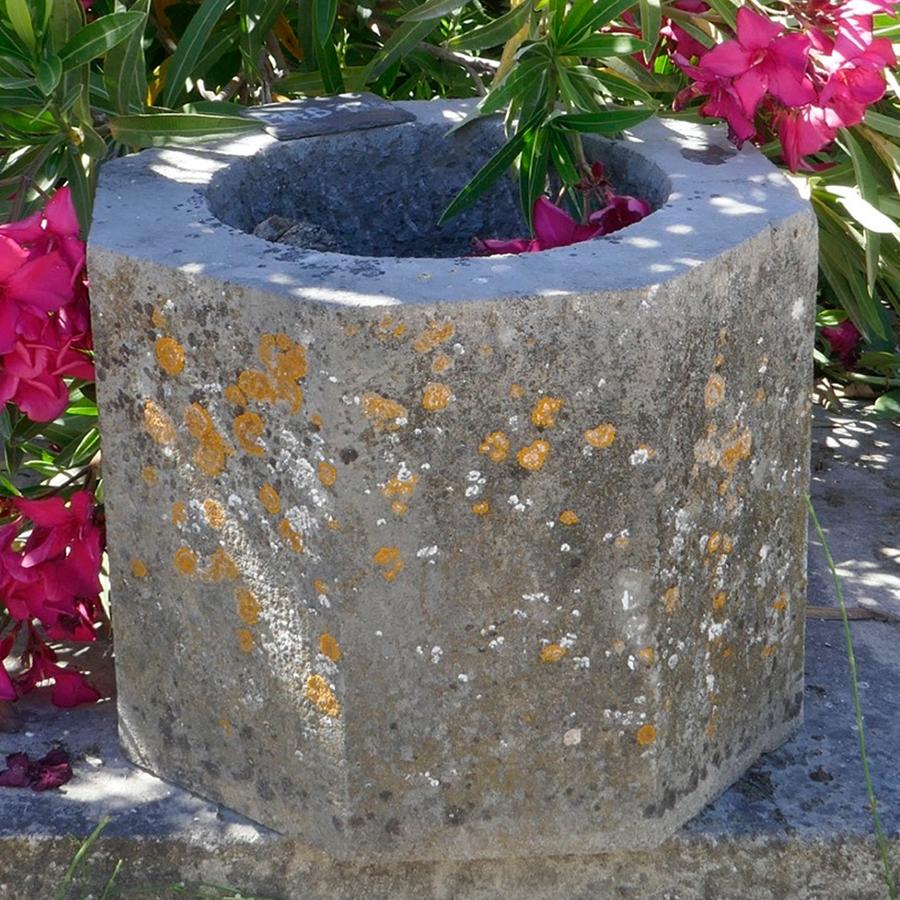 Antique Stone Planter For Sale at 1stDibs | flagstone planter