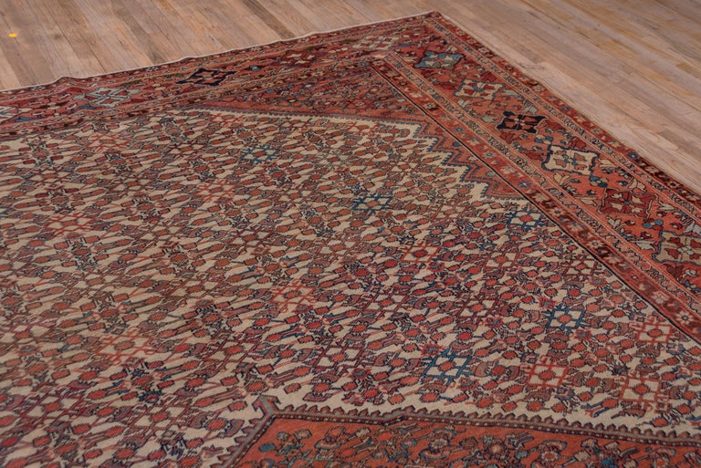 Antique Sultanabad Carpet, circa 1900s For Sale at 1stDibs