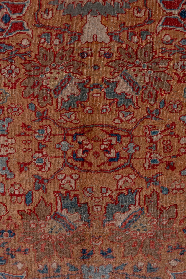 Antique Sultanabad Carpet, circa 1900s For Sale at 1stDibs