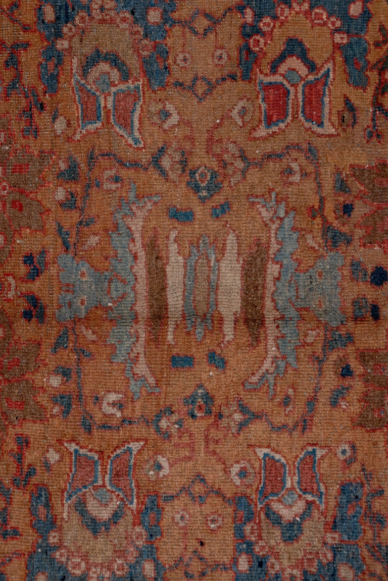 Antique Sultanabad Carpet, circa 1900s For Sale at 1stDibs