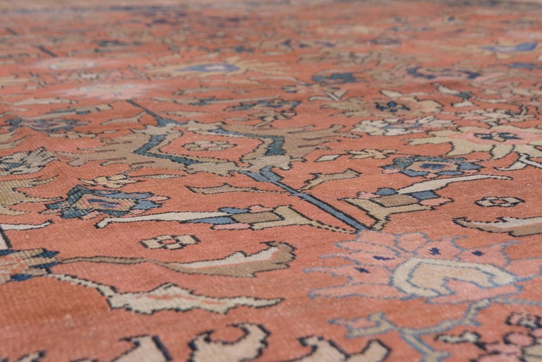 Antique Sultanabad Carpet, Soft Palette, circa 1910s For Sale at 1stDibs