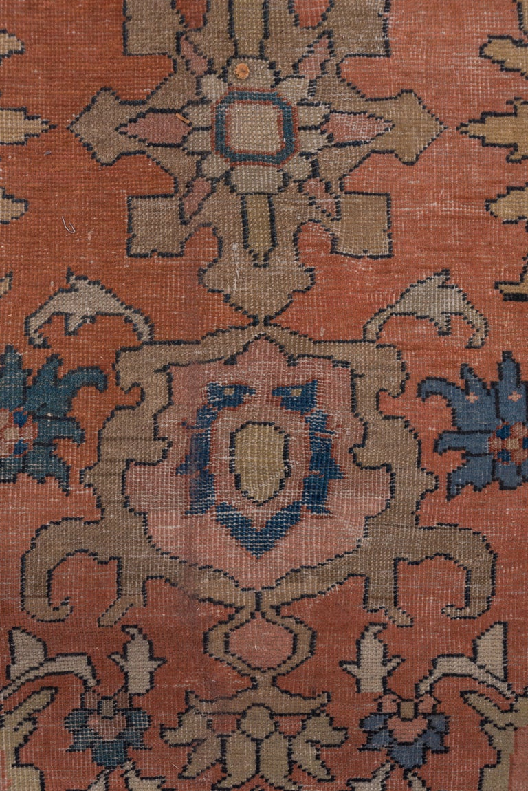 Antique Sultanabad Carpet, Soft Palette, circa 1910s For Sale at 1stDibs