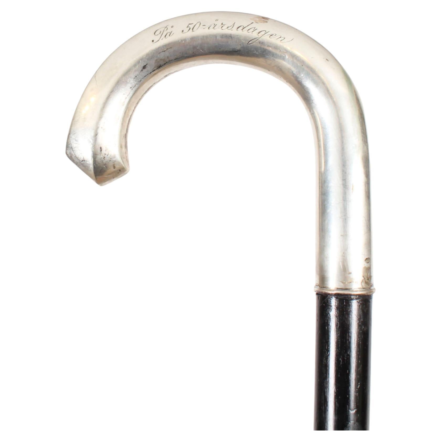 Antique Victorian Walking Stick Cane with Sterling Silver Pommel, 19th ...