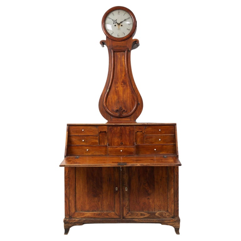 Antique Swedish Untouched Veneered Elm Clock Cabinet For Sale at 1stDibs