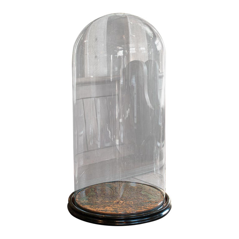 Antique Taxidermy Dome, English, Glass, Collectible, Display Showcase ...