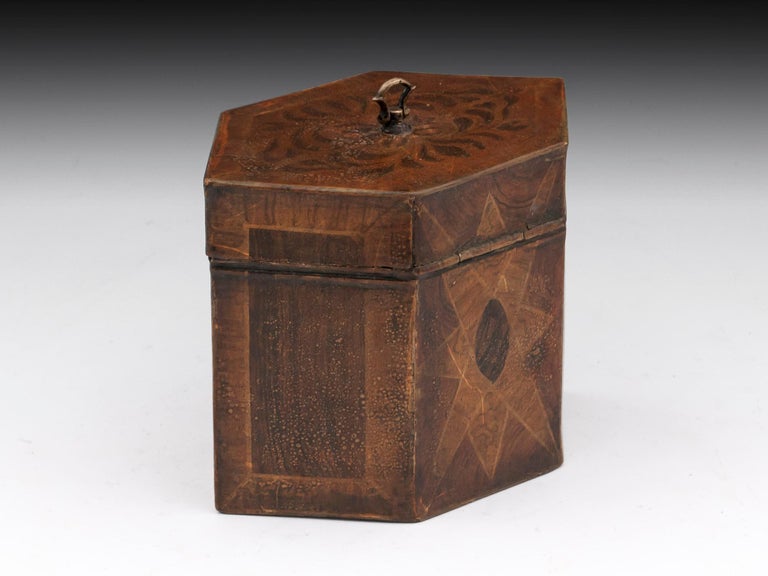 Antique Tinware Tea Caddy 19th Century For Sale at 1stDibs | tinware ...