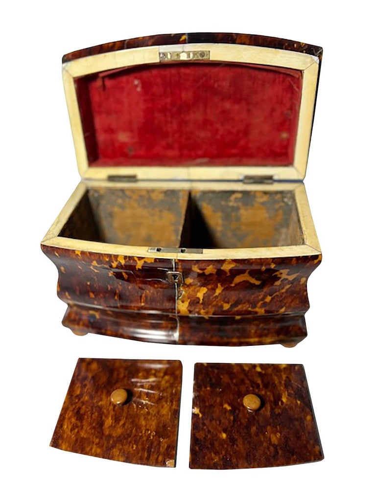 Antique Tortoiseshell Tea Caddy For Sale at 1stDibs