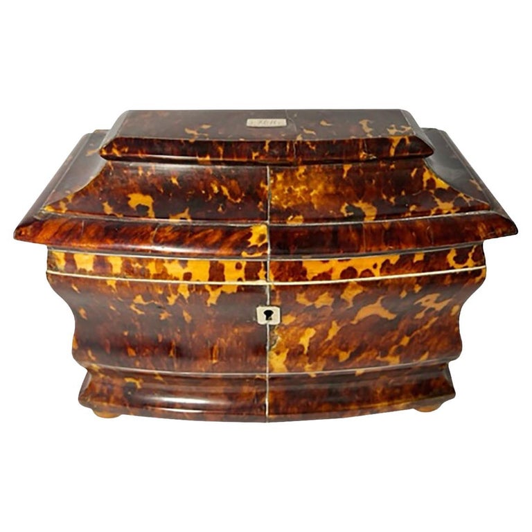 Antique Tortoiseshell Tea Caddy For Sale at 1stDibs
