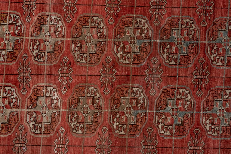 Antique Turkomen Ersari Rug, Red Allover Field, circa 1920s For Sale at ...