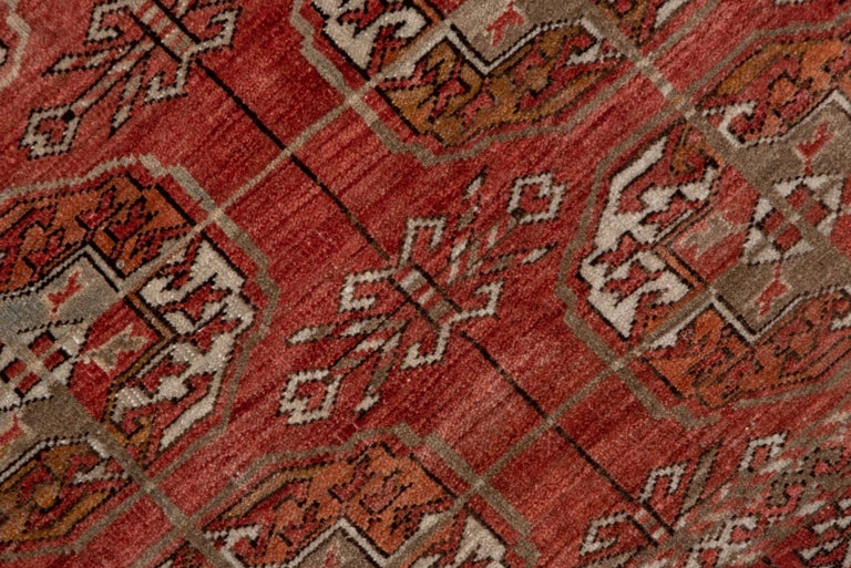 Antique Turkomen Ersari Rug, Red Allover Field, circa 1920s For Sale at ...