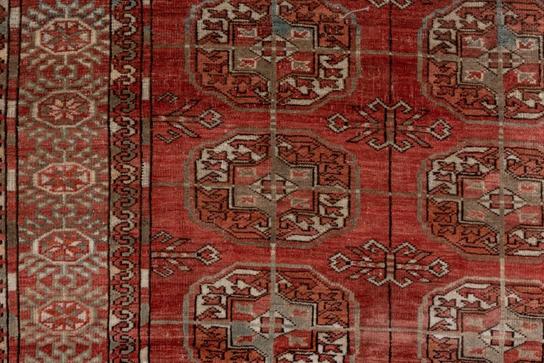 Antique Turkomen Ersari Rug, Red Allover Field, circa 1920s For Sale at ...