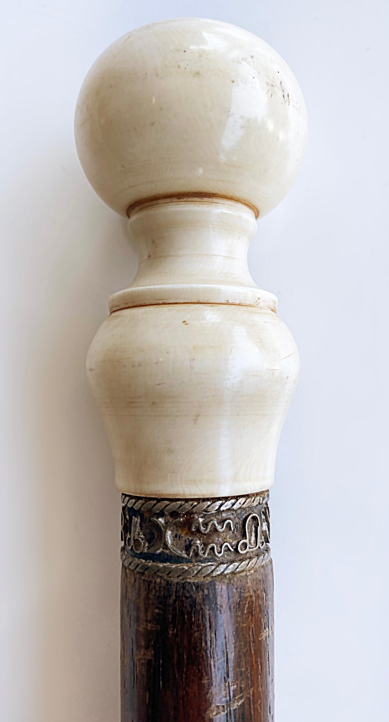 Antique Turned Bone Walking Stick, Silver Banding, Egyptian Symbols For ...
