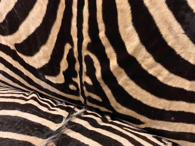 Antique Two Seater Canape with Real Zebra Skin Upholstery For Sale at ...