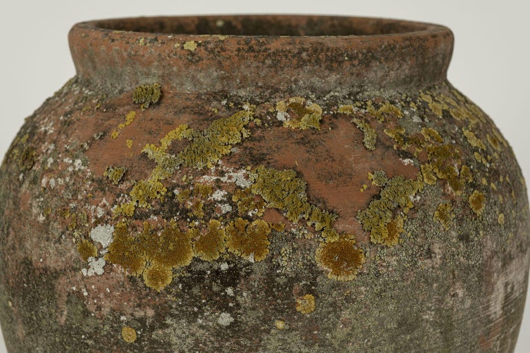Antique Urn-Shape Terracotta Pot at 1stDibs | terracotta urn